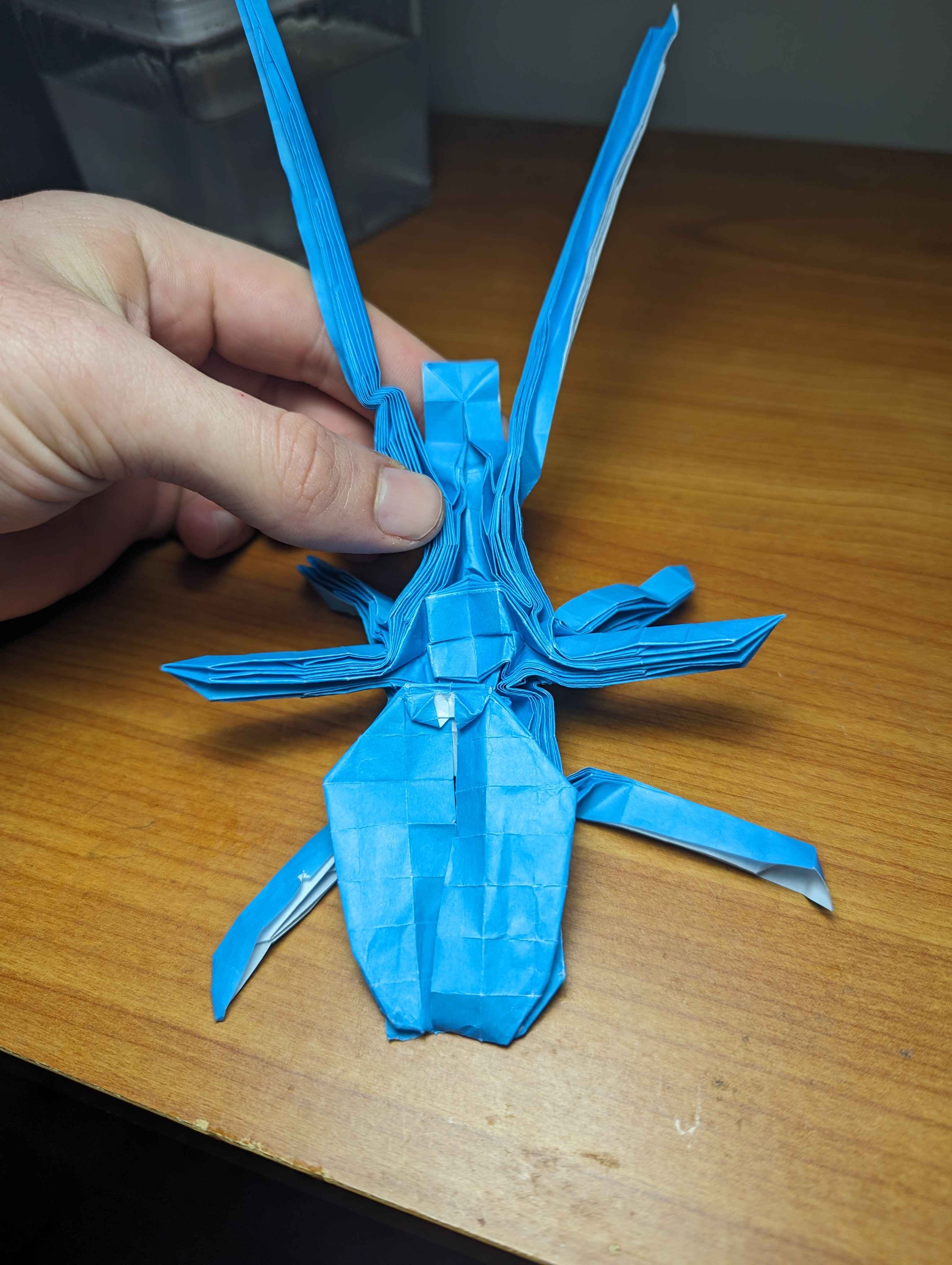 Designing a Box Pleated Beetle